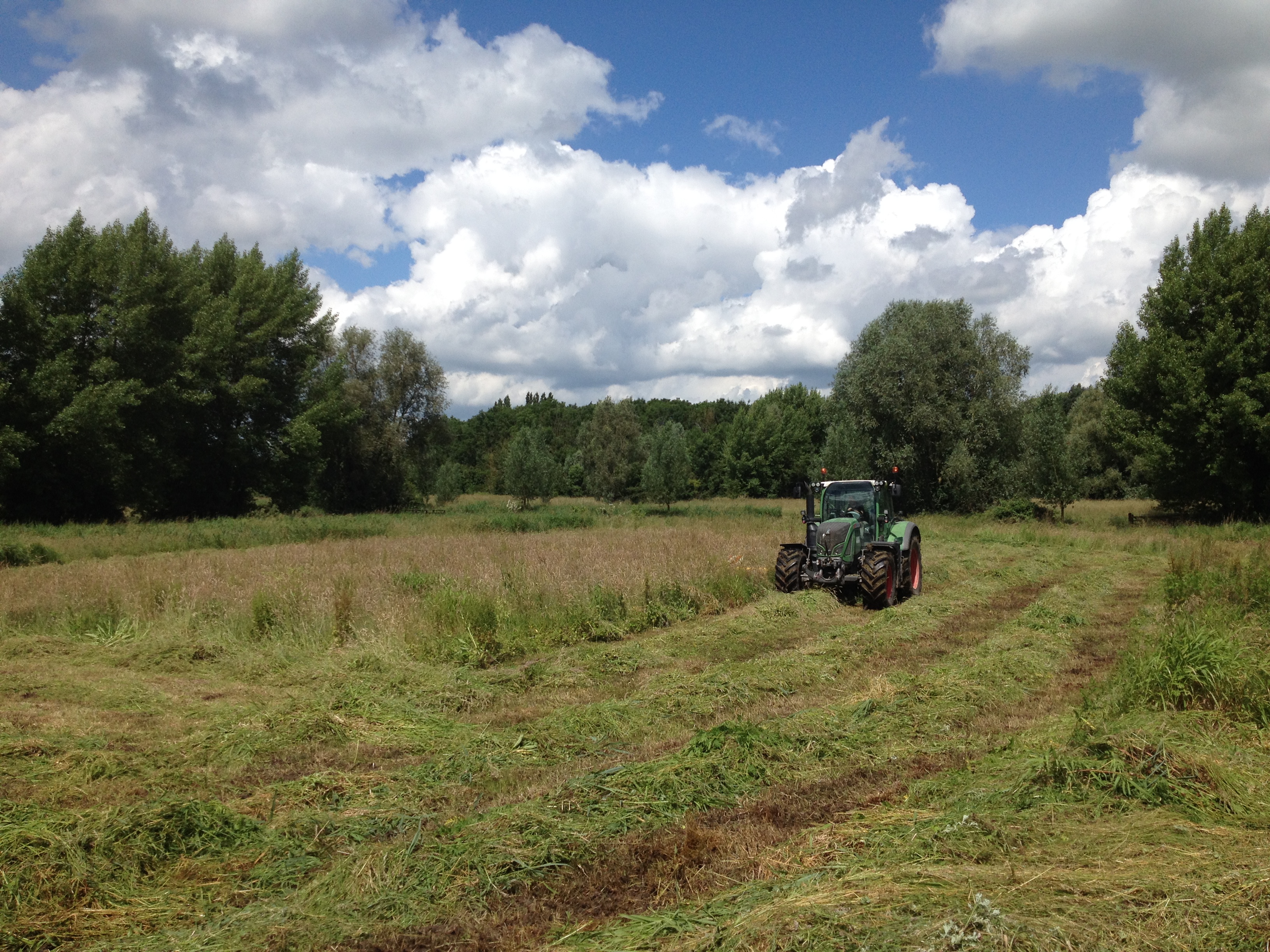 Quand la préservation des milieux naturels aide à la préservation des ...
